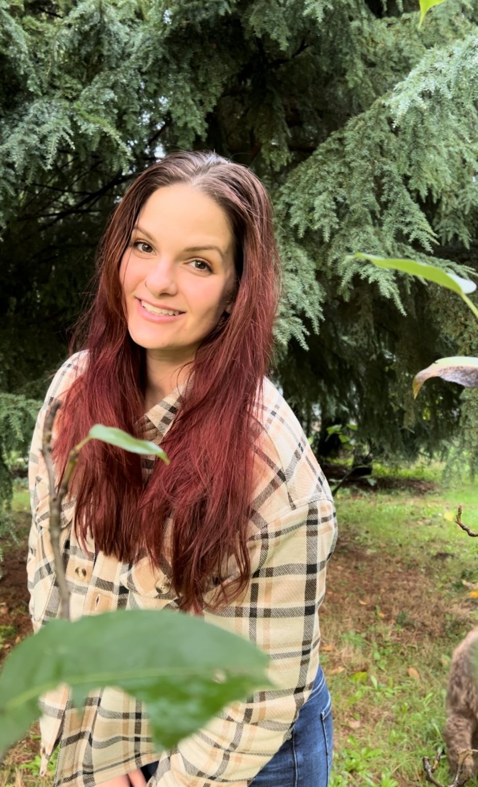 Fern & Fae Vancouver Massage, Acupuncture, Energy Healing